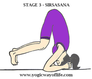 Sirsasana - The Yogic Head Stand