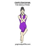 Garudasana - The Eagle Pose